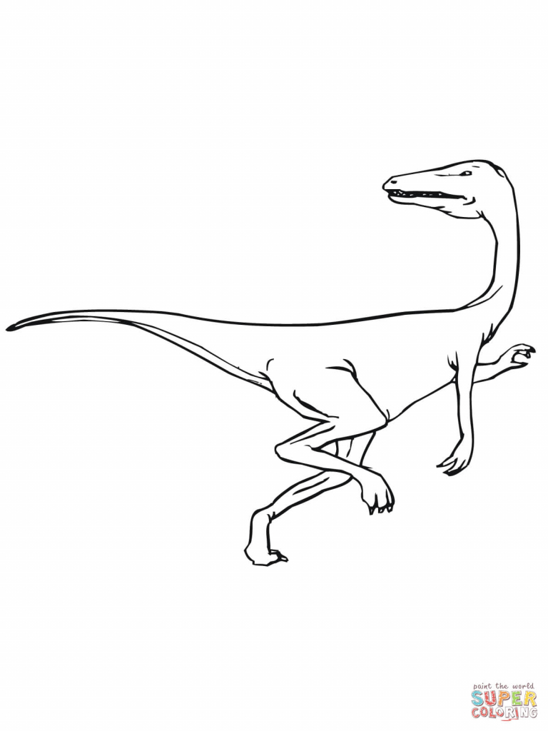 Featherless Velociraptor – Enlightening